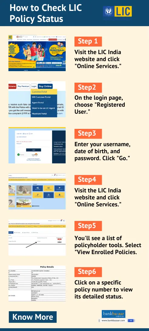 Check LIC Policy Details - Status & Statement Online
